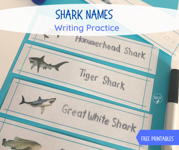 Shark Names Writing Practice - Teach Me Mommy